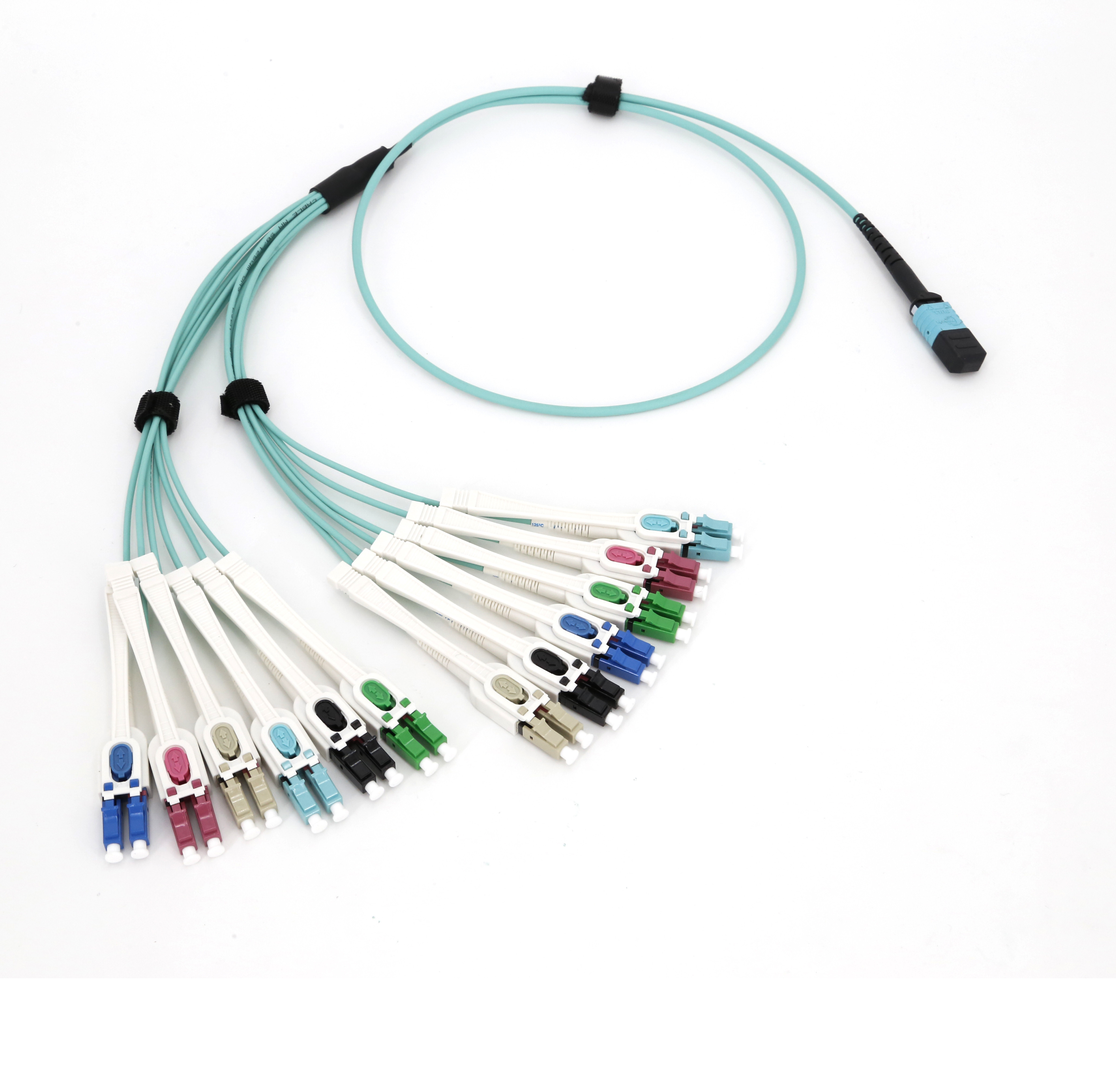 Conector del cable MPO MTP del arnés de la fibra MPO de la fibra 144 de ...